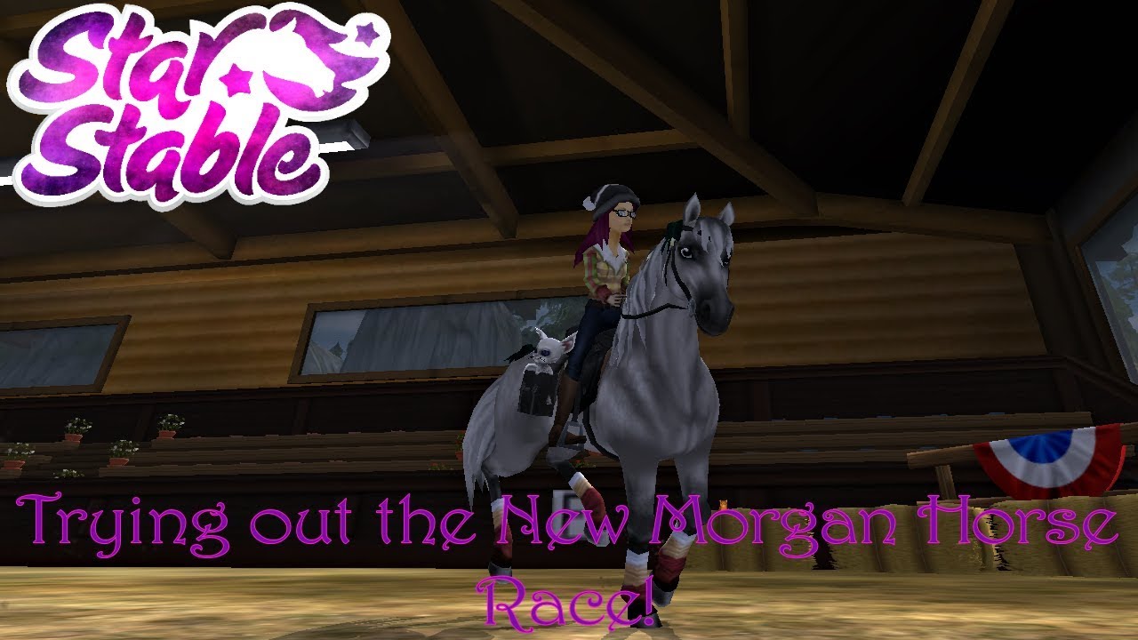 SSO ~ Trying out the New Morgan Horse Race! - YouTube