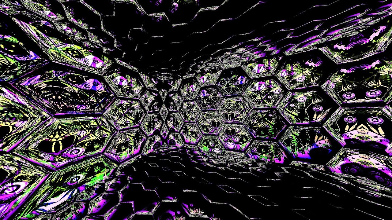 HAPPY BIRTHDAY NEURON HUSKY!!!!! - YouTube