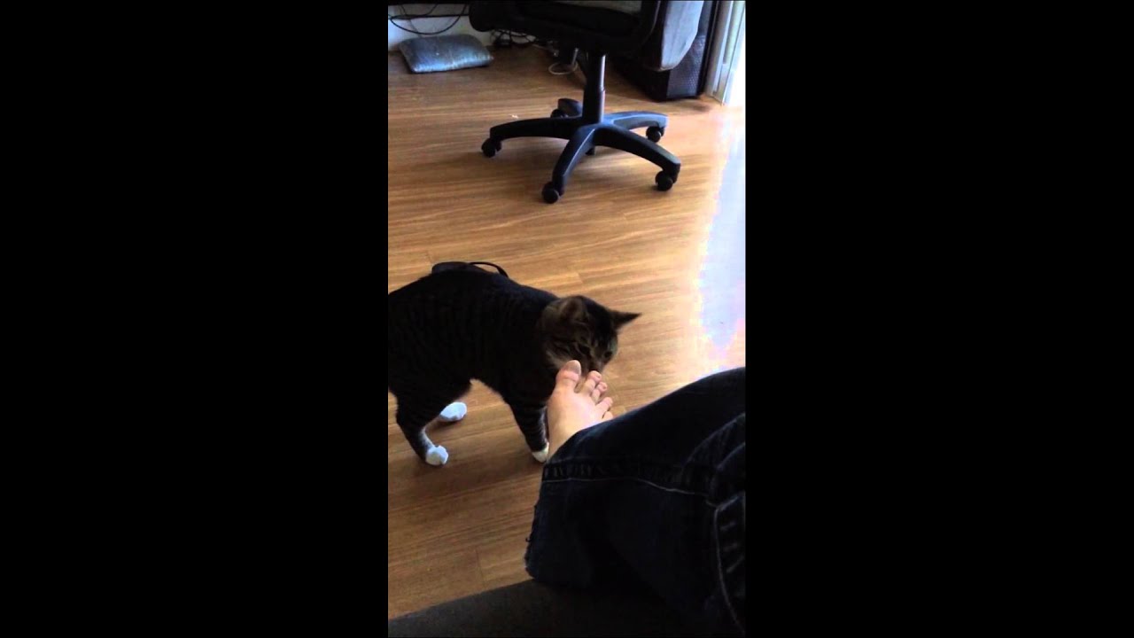 Toe sniff. - YouTube
