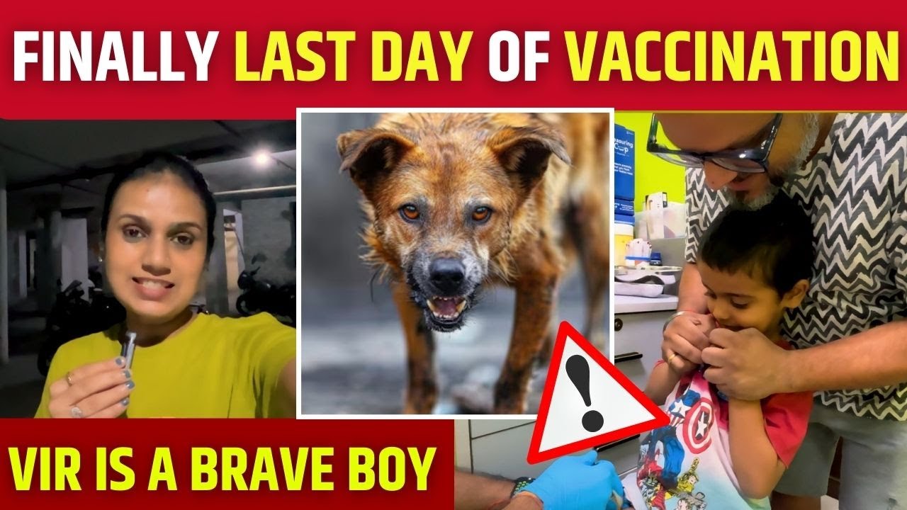 Last Day of Vaccination | Vir is a brave Boy #vlog #dogs #straydogs ...