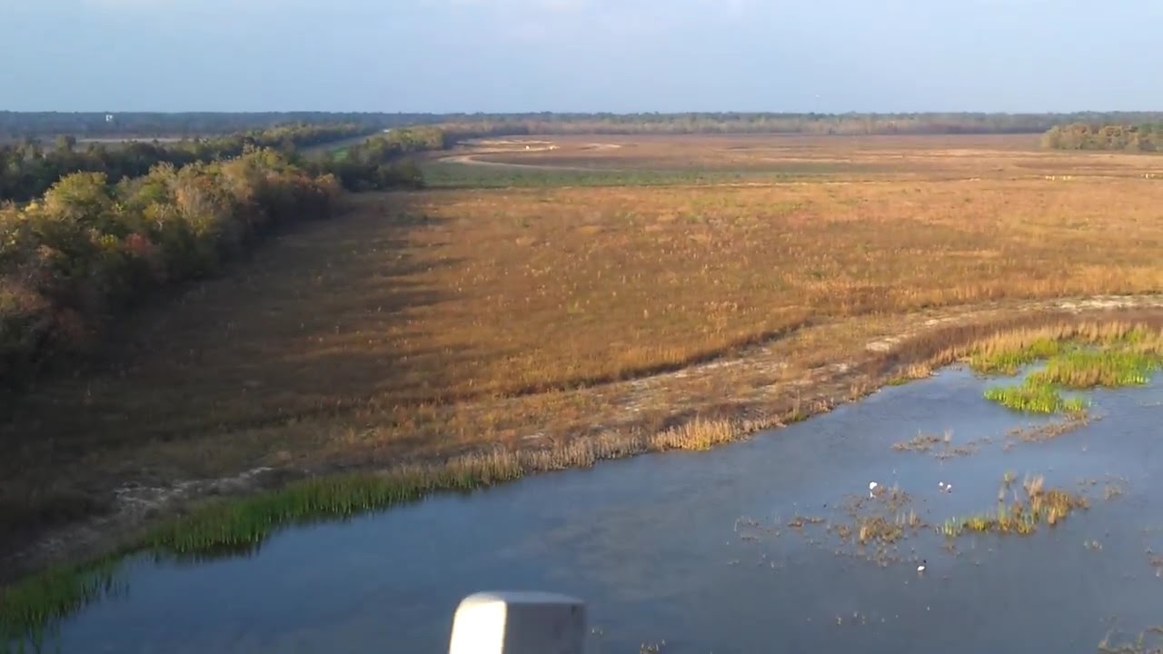 Observation tower at sheldon state park - YouTube