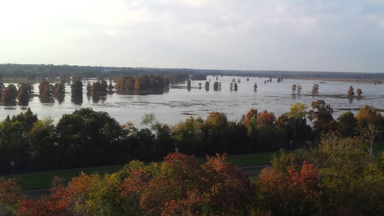 Observation tower at sheldon state park - YouTube