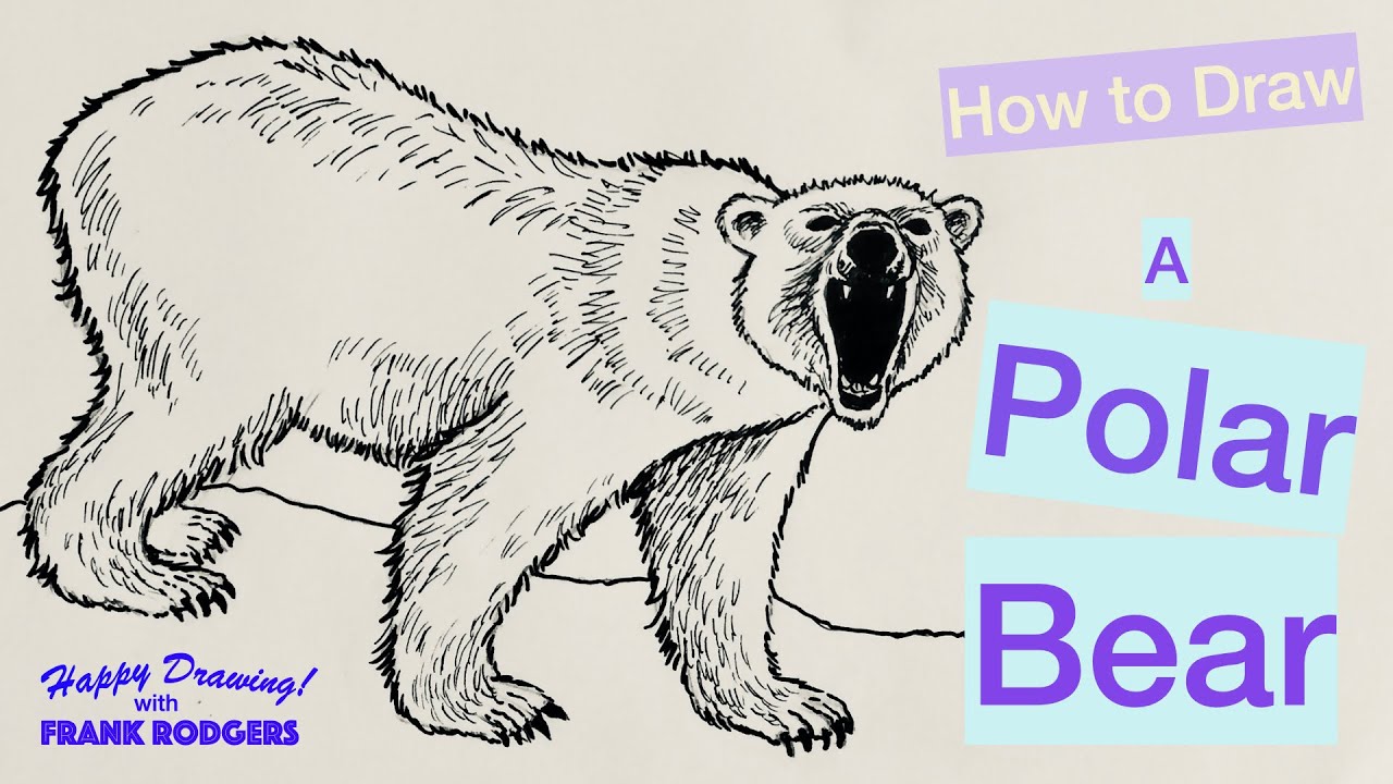 How to Draw a POLAR BEAR. Sketching Wild Animals No 7. Happy Drawing ...