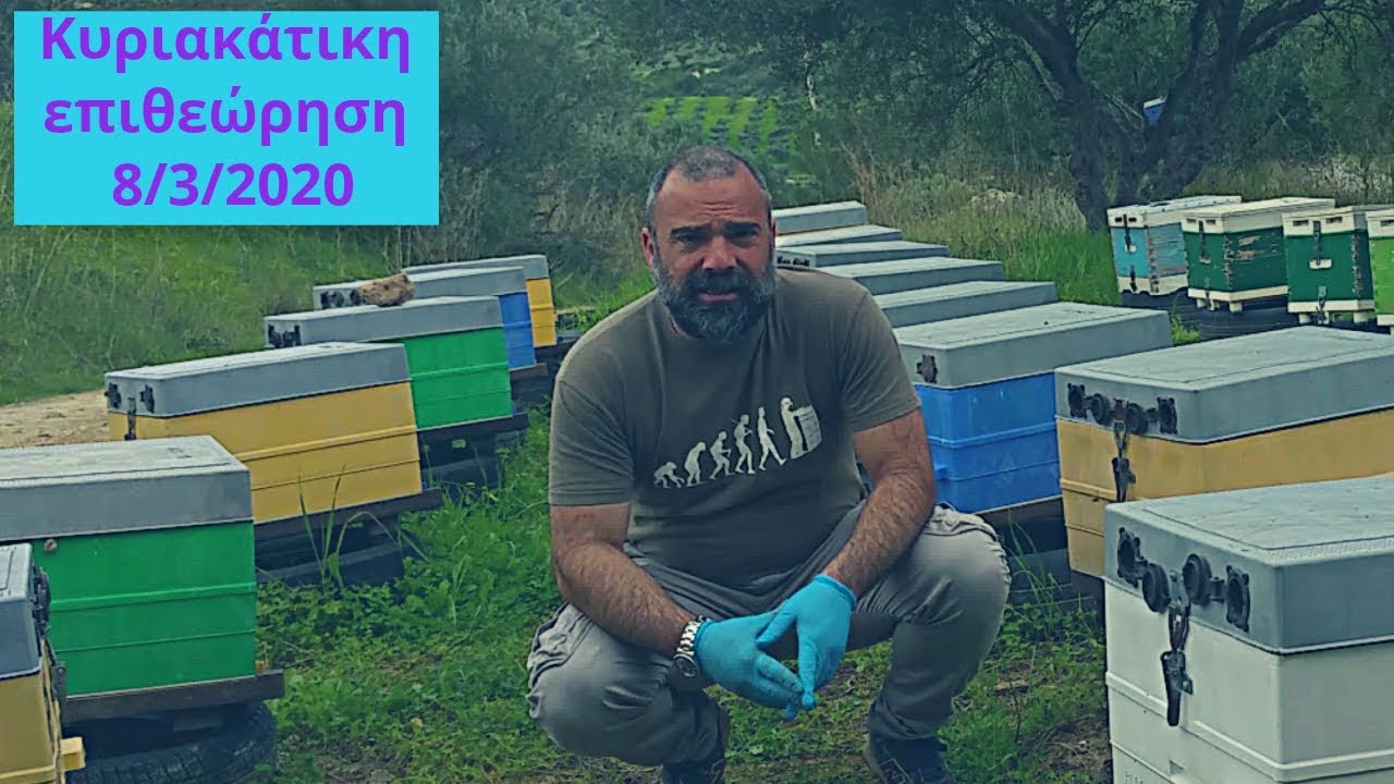 Κυριακάτικη επιθεώρηση 08/03/2020 - Μέλι Μαργαρίτα - YouTube