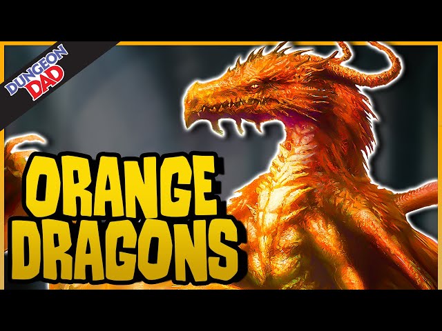 Orange Dragon Dragons Red Bearded Dragons For Sale – Big Apple Herp