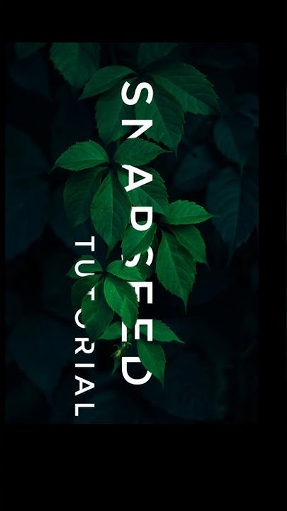 3D Text Editing | Mobile editing | SNAPSEED TUTORIAL - YouTube