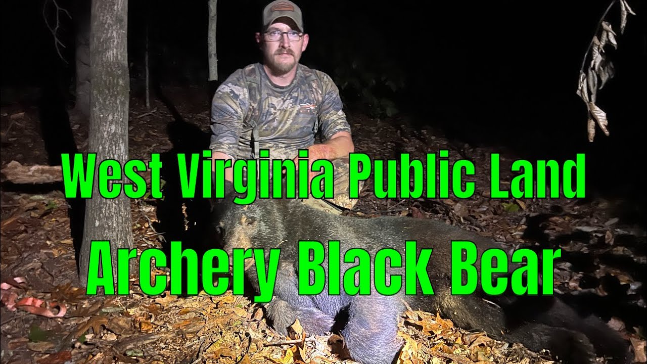 West Virginia Public Land Black Bear Hunt - YouTube