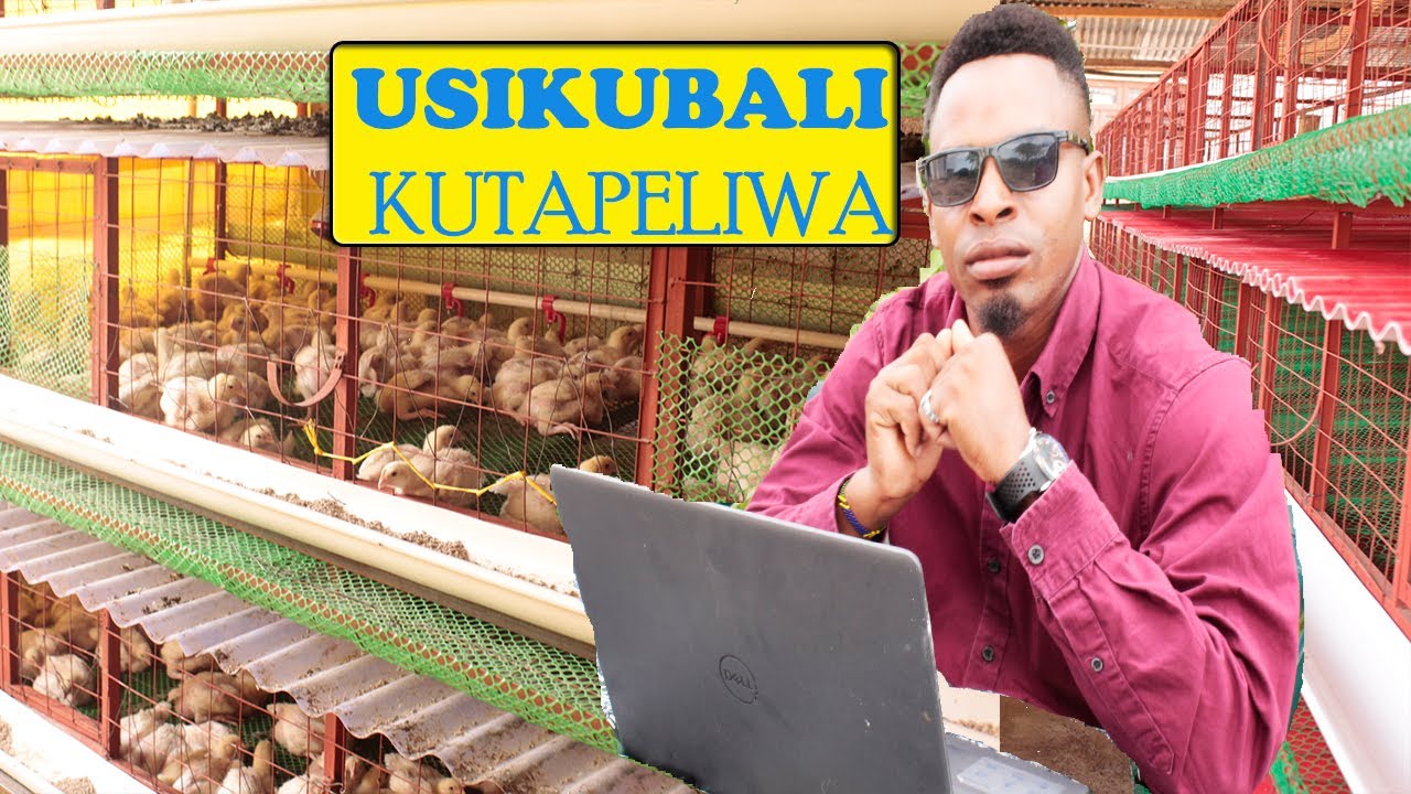 ECONOMY CHICKEN CAGES /LOCAL CAGES ZIMEVUTIA MATAPELI - YouTube