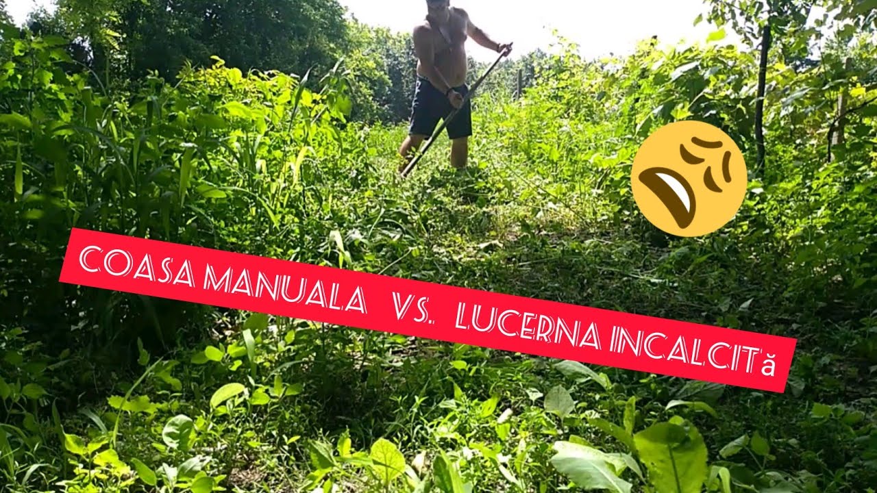 AM COSIT LUCERNA CU COASA MANUALA☘️☘️☘️☘️☘️ - YouTube