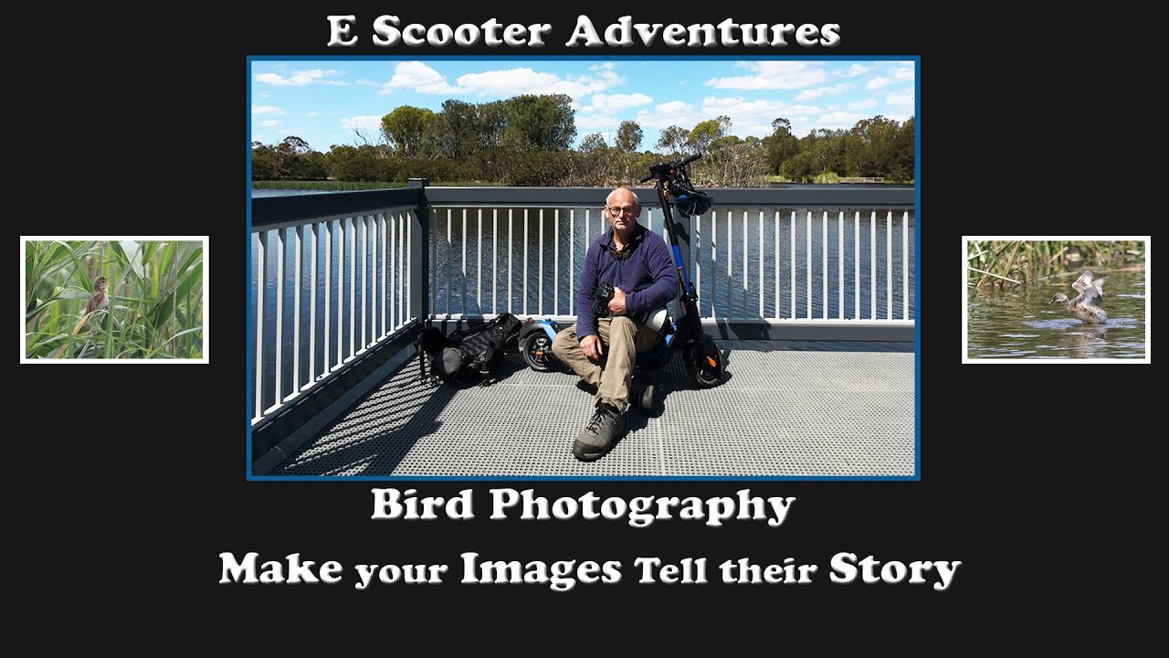Suburban Photography Tell their Story with your Images - YouTube