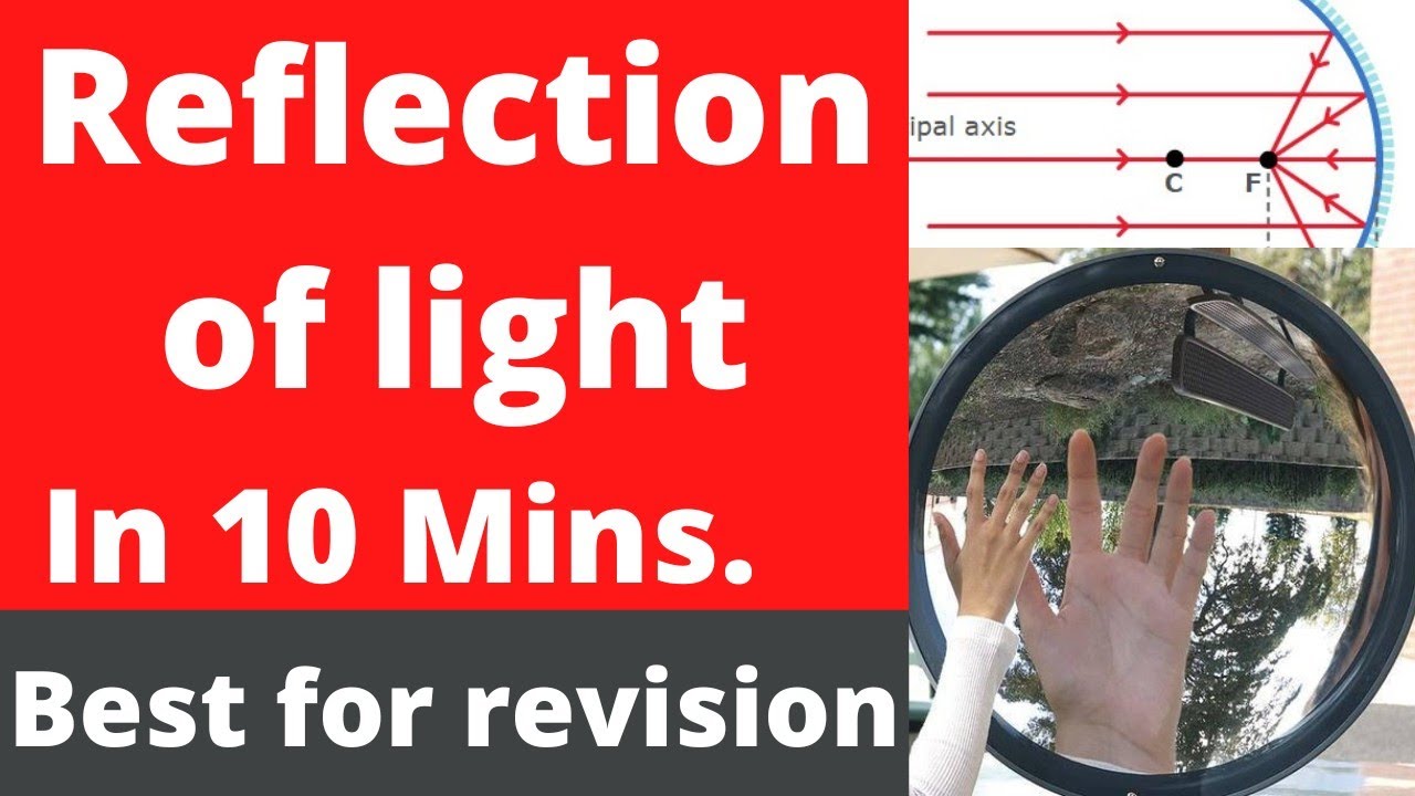 LIGHT- REFLECTION AND REFRACTION (CLASS 10) FULL CHAPTER SHORT SUMMARY ...