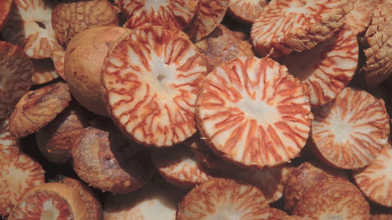 Betel Nut--Cambodian-style! - YouTube