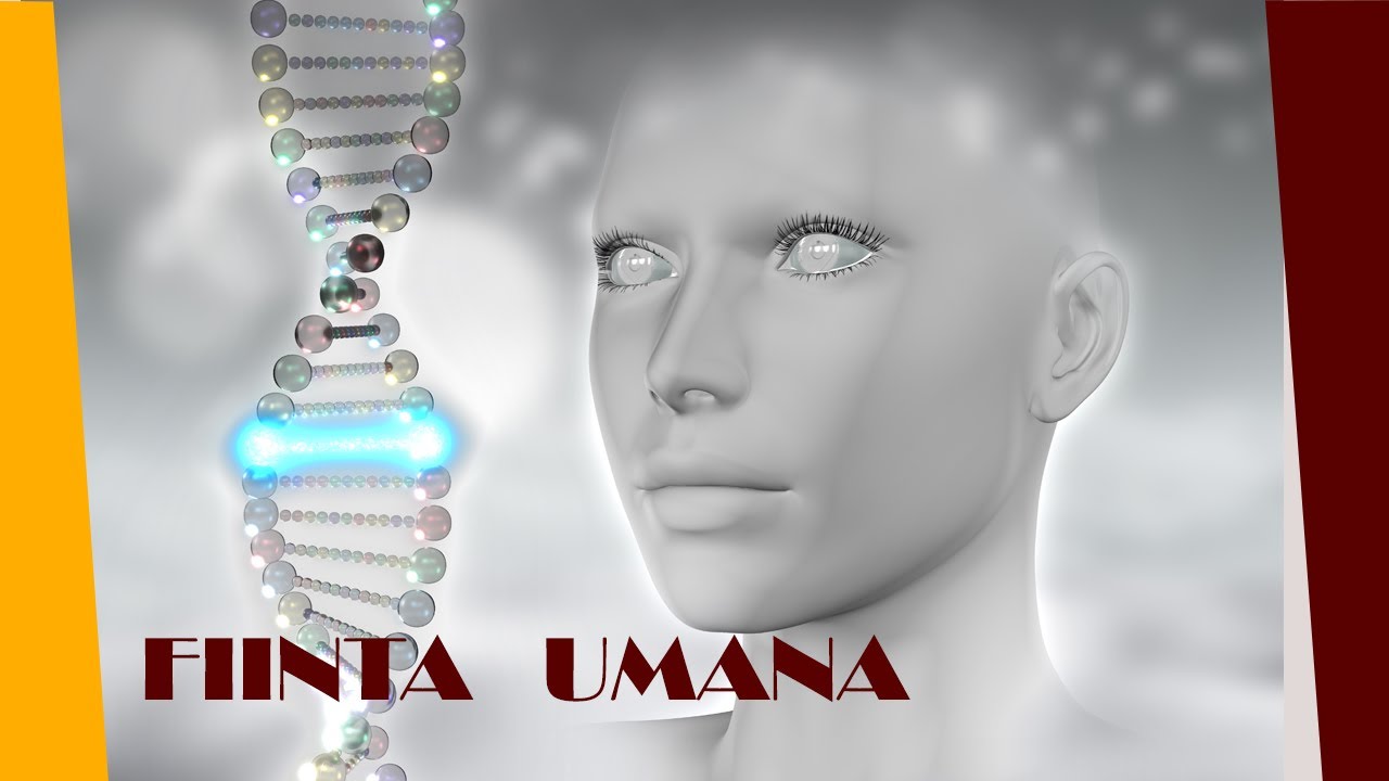 Privilegiul de a fi fiinta umana - YouTube