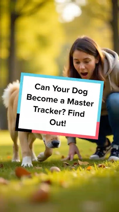 Can Your Dog Become a Master Tracker? Find Out! - YouTube