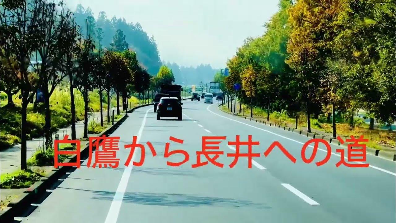 白鷹から長井への道 辛夷と銀杏並木！ 10Km/ - YouTube