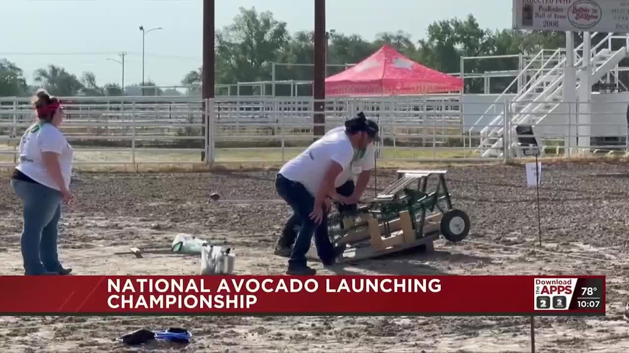 National Avocado Launching Tournament set for September - YouTube