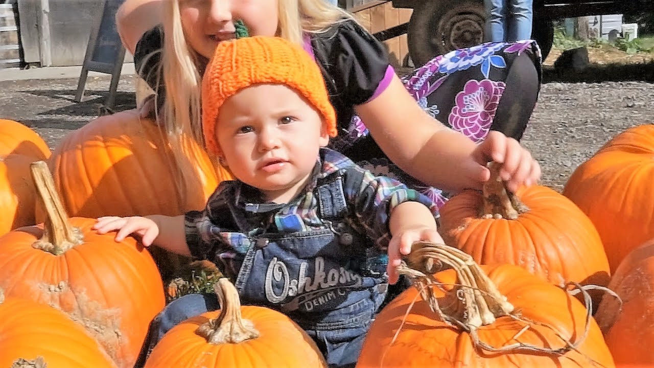 Baby Lost In Pumpkin Patch!! Day 667 (10/08/16) - YouTube
