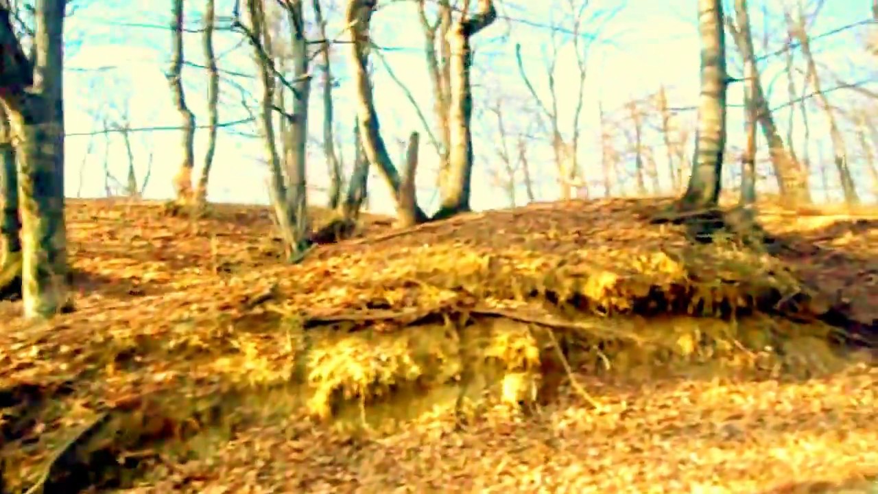 Enya, On Your Shore, (pe țărmul tău), lyrics below - YouTube