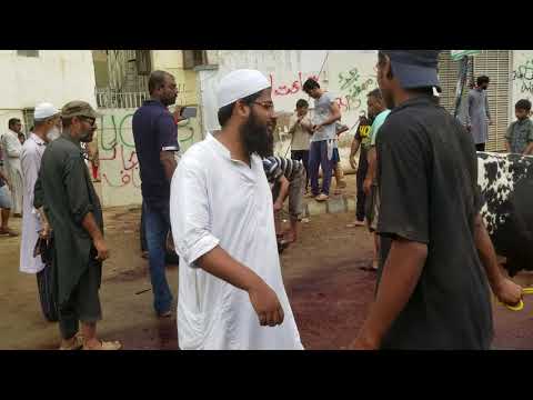 Professional Qasai 2018 . - YouTube