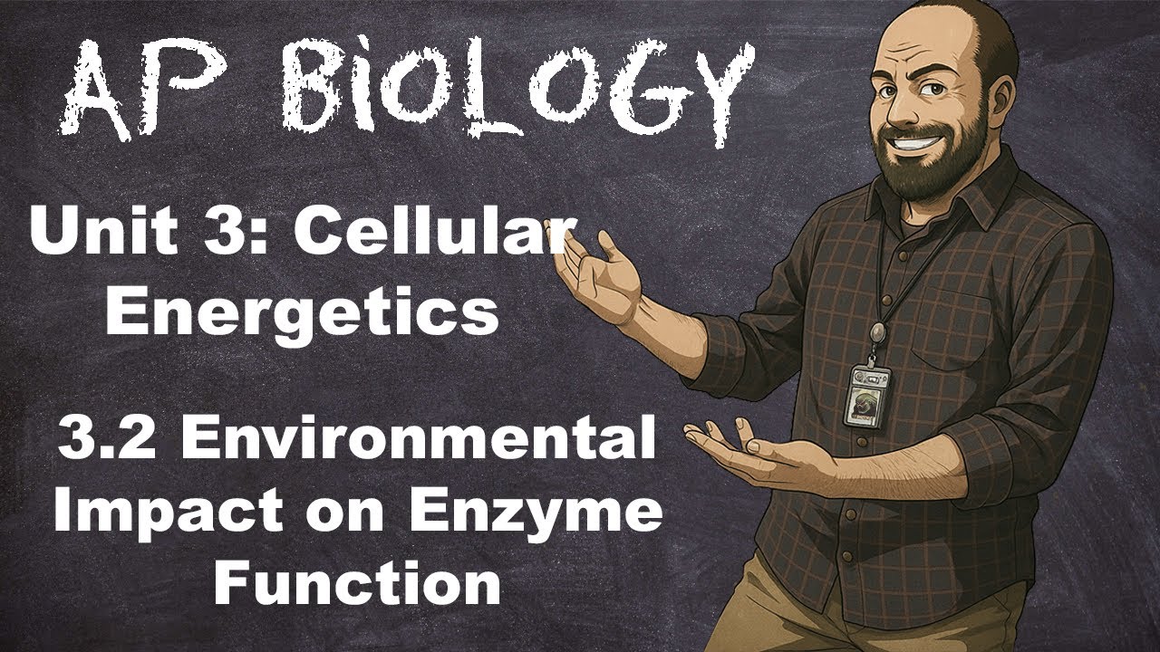 AP Bio Unit 3 – Topic 3.2 – Environmental Impacts on Enzyme Function ...