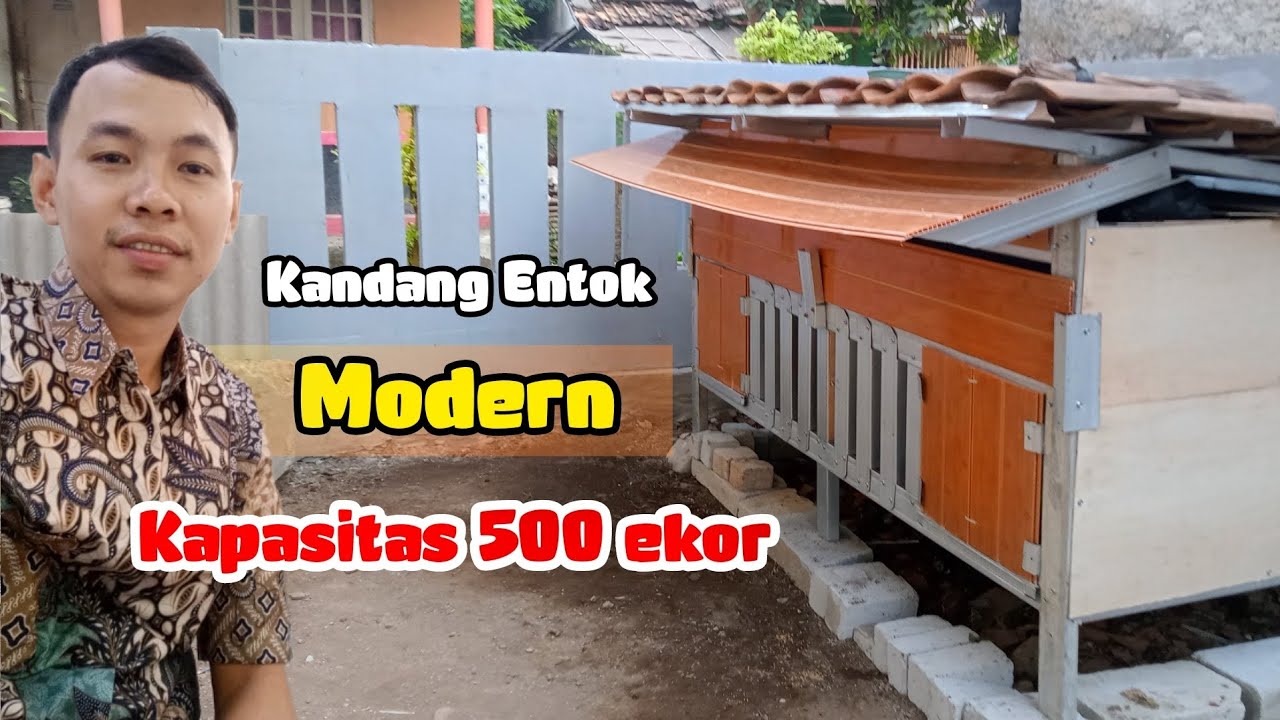 Kandang entok modern, kapasitas 500 ekor - YouTube