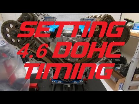 Setting the timing on a Mustang Cobra DOHC 4.6 - YouTube
