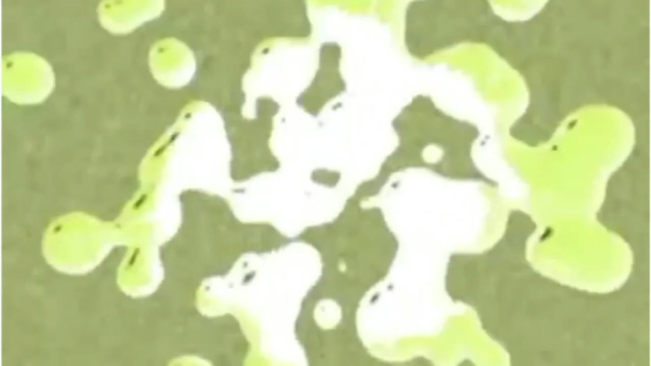 Klasky Csupo in G Major 24 by WindowsEffects2016 HD - YouTube