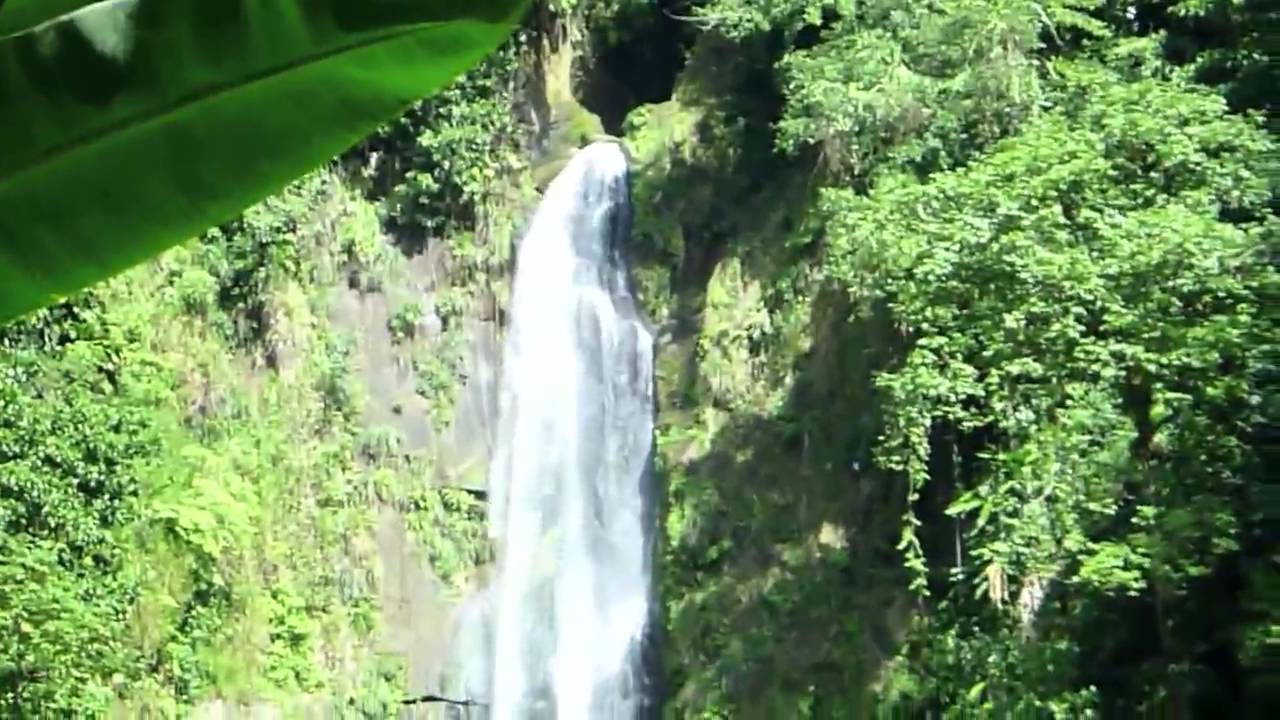 Dominica (Part II) - Visit to the rain forest and Trafalgar Falls - YouTube