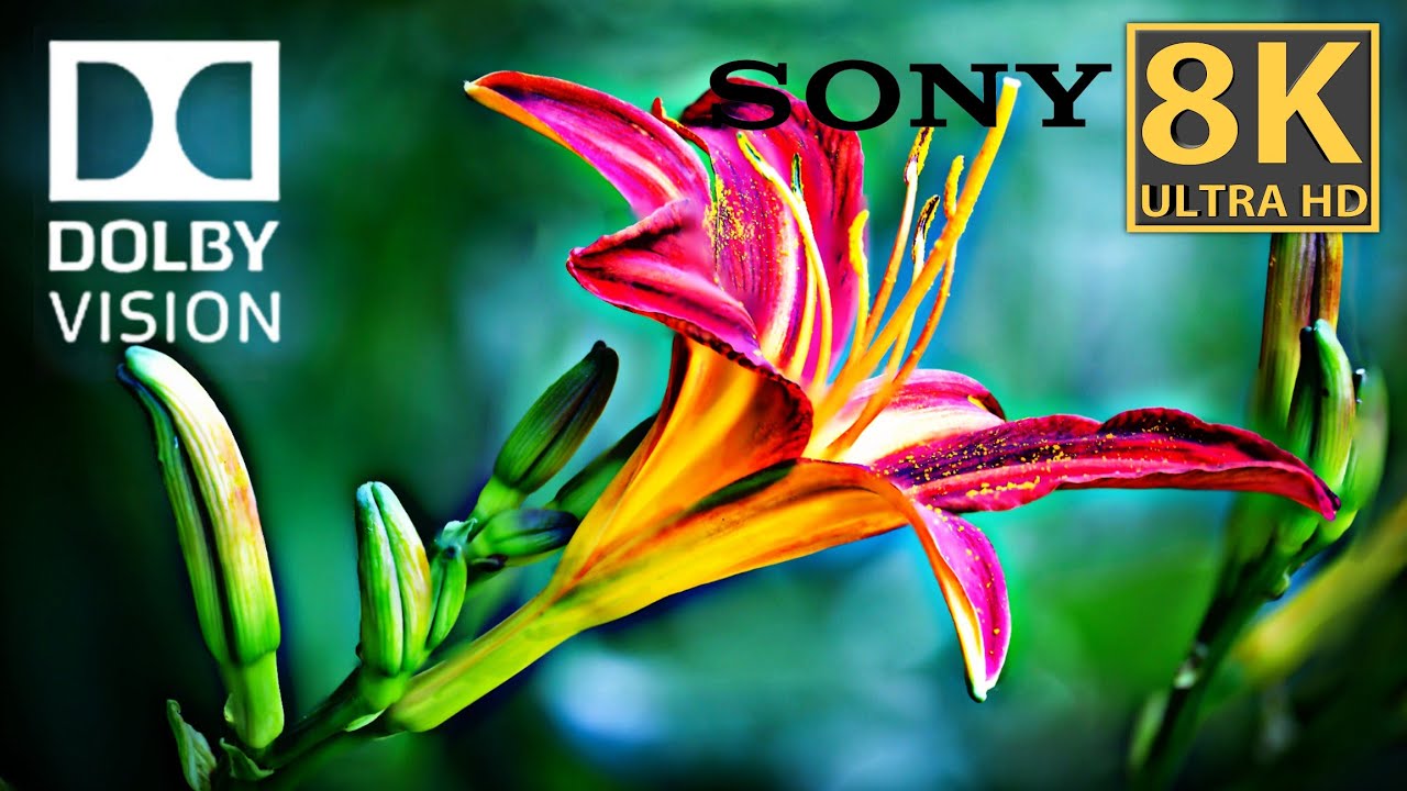 8K HDR 60FPS DOLBY VISION DEMO 8K | SONY 8K VIDEO ULTRA HD DEMO | High ...