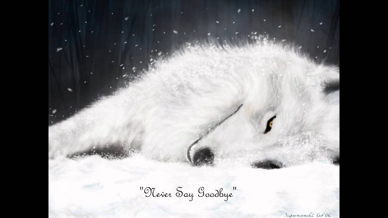 wolf's rain "never say goodbye" - YouTube