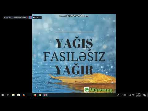 Whatsap qemli menali status