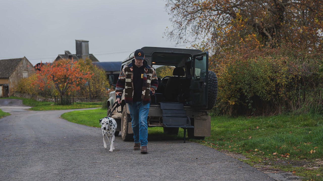 Land Rover Defender 90 Dog Travel Setup | Dog Steps & Dog Crate ...