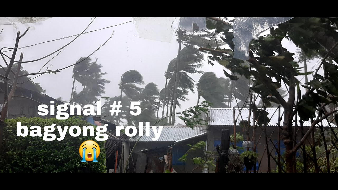 Bagyong Rolly Signal 5 - YouTube