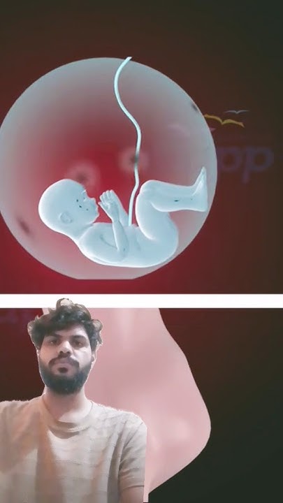 Baby's Moments inside the womb (3D Animation) #shots - YouTube