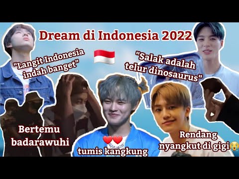 Beragam Kelakuan NCT DREAM di INDONESIA