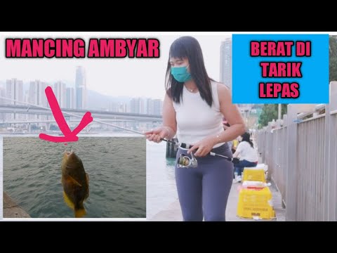 FISHING MANIA||MANCING CANTIK ||MANCING DI LAUT ||TKW HONGKONG @ichacubyvlog8444