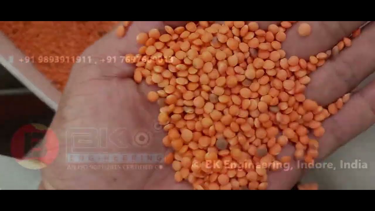 Masoor Dal / Red Lentil Processing Plant Video 2 - YouTube