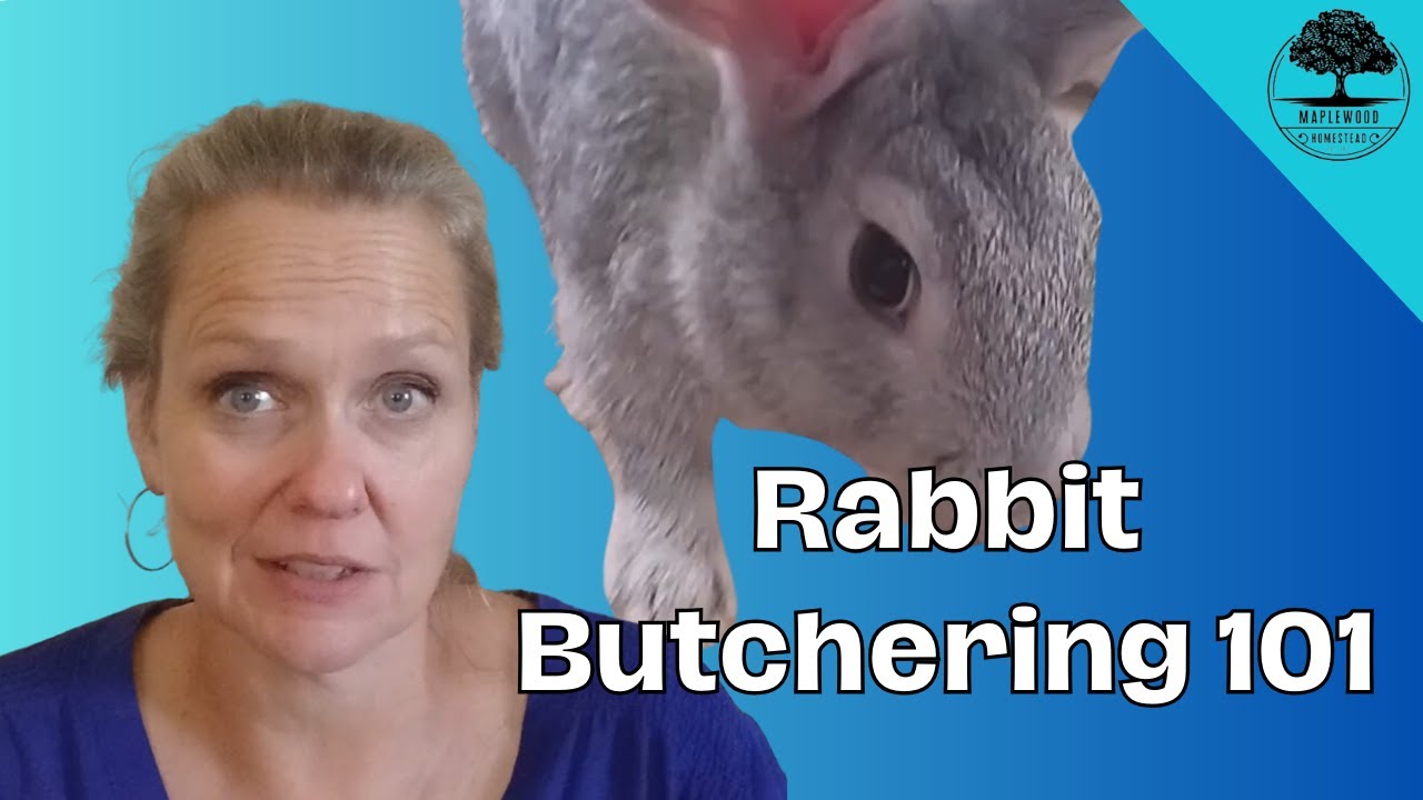 Butchering a Rabbit for Beginners | Dispatch Included - YouTube