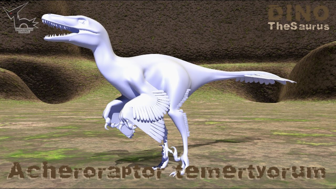 Dino TheSaurus : Model A010 Acheroraptor temertyorum - YouTube
