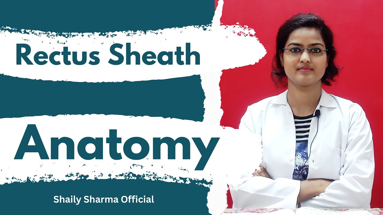 Rectus Sheath || Anatomy || - YouTube