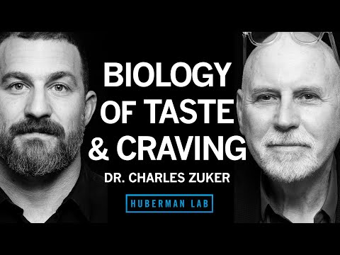 The Biology of Taste Perception & Sugar Craving | Dr. Charles Zuker