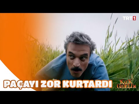 Sevda Ortalığı Birbirine Kattı I @KalkGidelimTRT 22.Bölüm