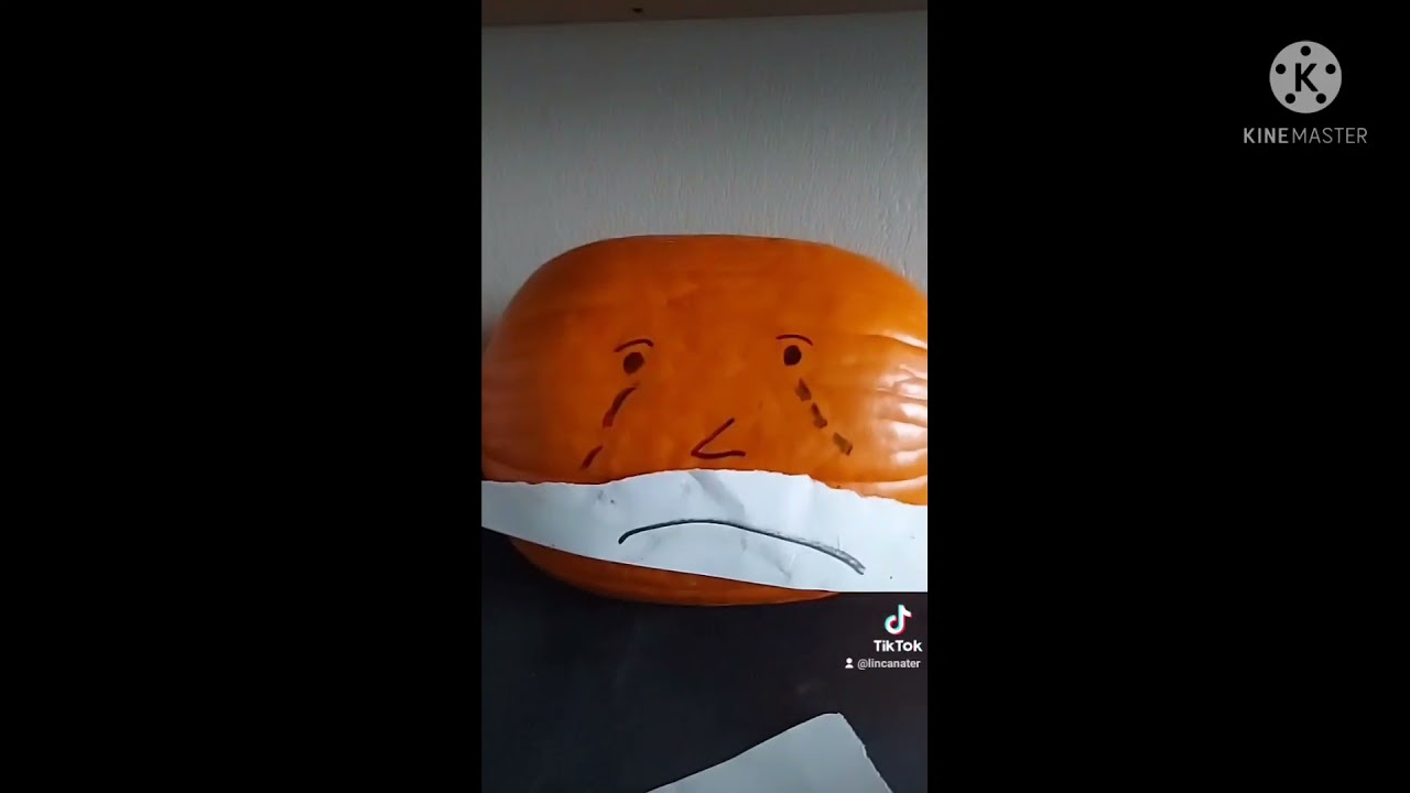this my little pumpkin friend - YouTube