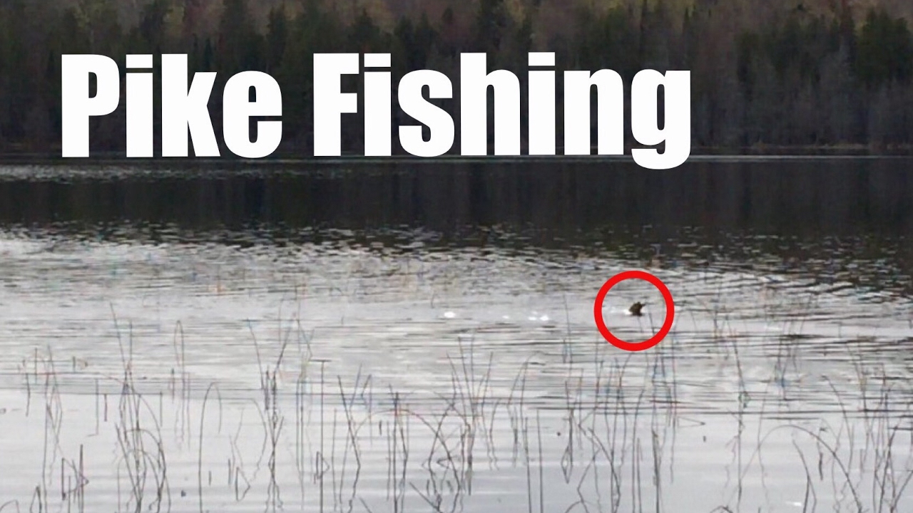 Fishing another Small Pike Lake - YouTube