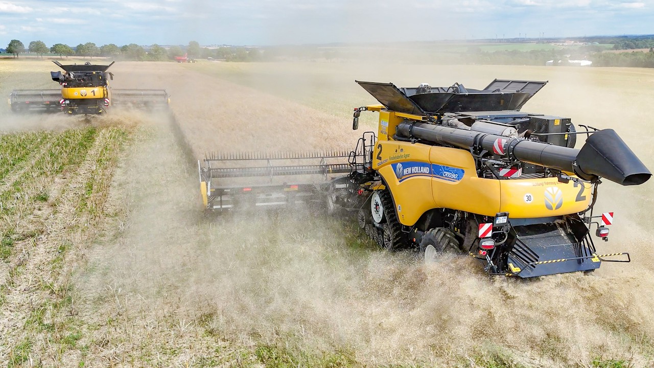 Rapsernte mit 2x New Holland CR 10.90+ 12m MacDon FlexDraper / Canola ...