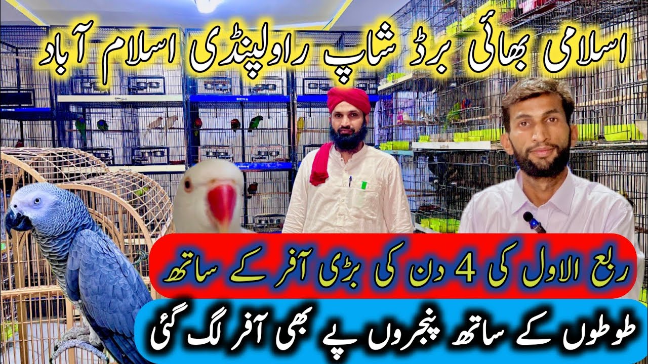 Rabi-ul-awal Ki 4din Ki shandar offer Ka sath |Islamic Bhai bird shop ...