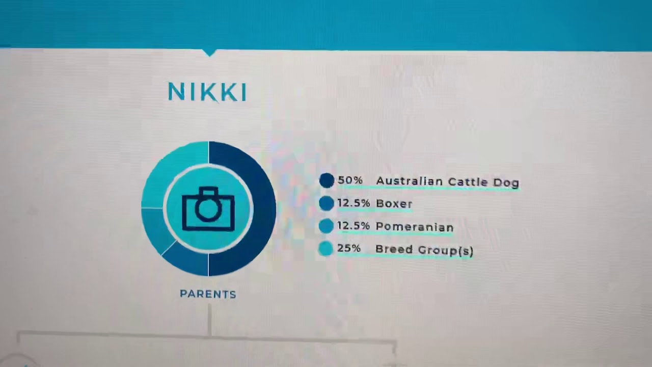 Nikki DNA test results - YouTube