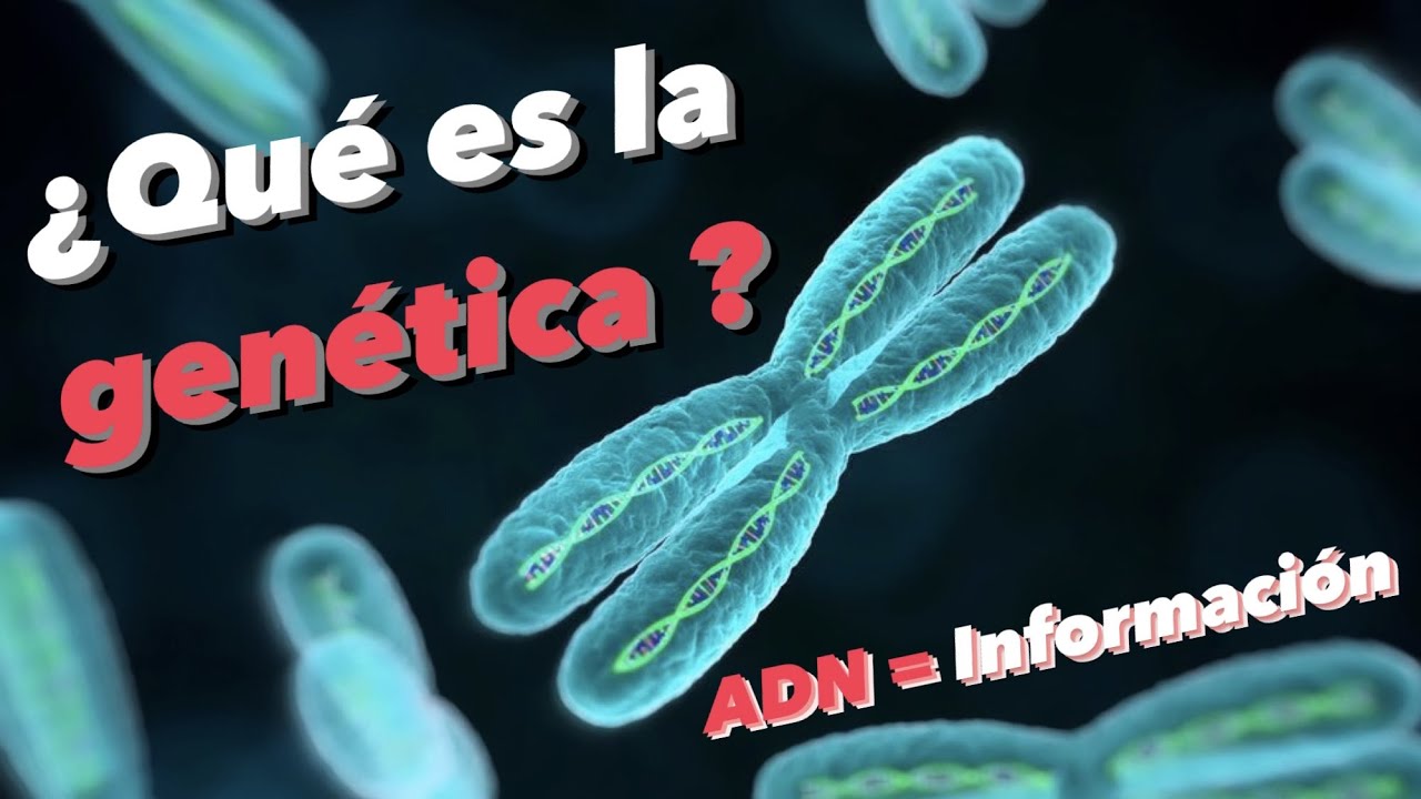 🧬¿Qué es la GENÉTICA? 🧬ADN Historia de la genética, conceptos básicos ...