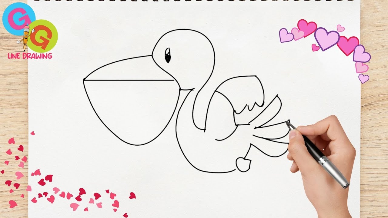 HOW TO DRAW A PELICAN IN 5 MINUTES - EASY DRAWING - YouTube