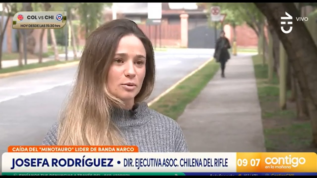 Bandas criminales y el origen de sus armas. Josefa Rodríguez. Directora ...